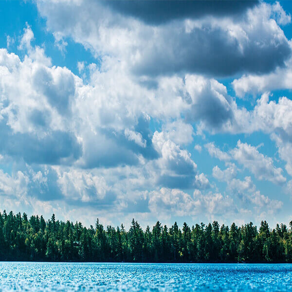 Weather Chatbot for Facebook Messenger & Website - BotStar