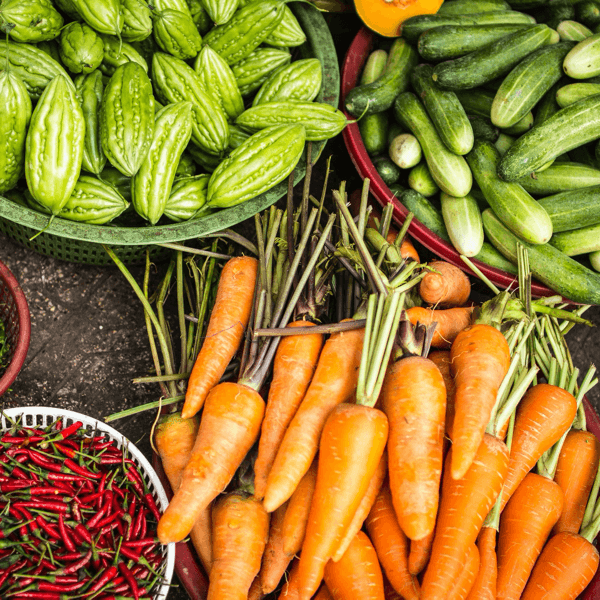 Farmers and Agriculture Businesses chatbot for Facebook Messenger ...